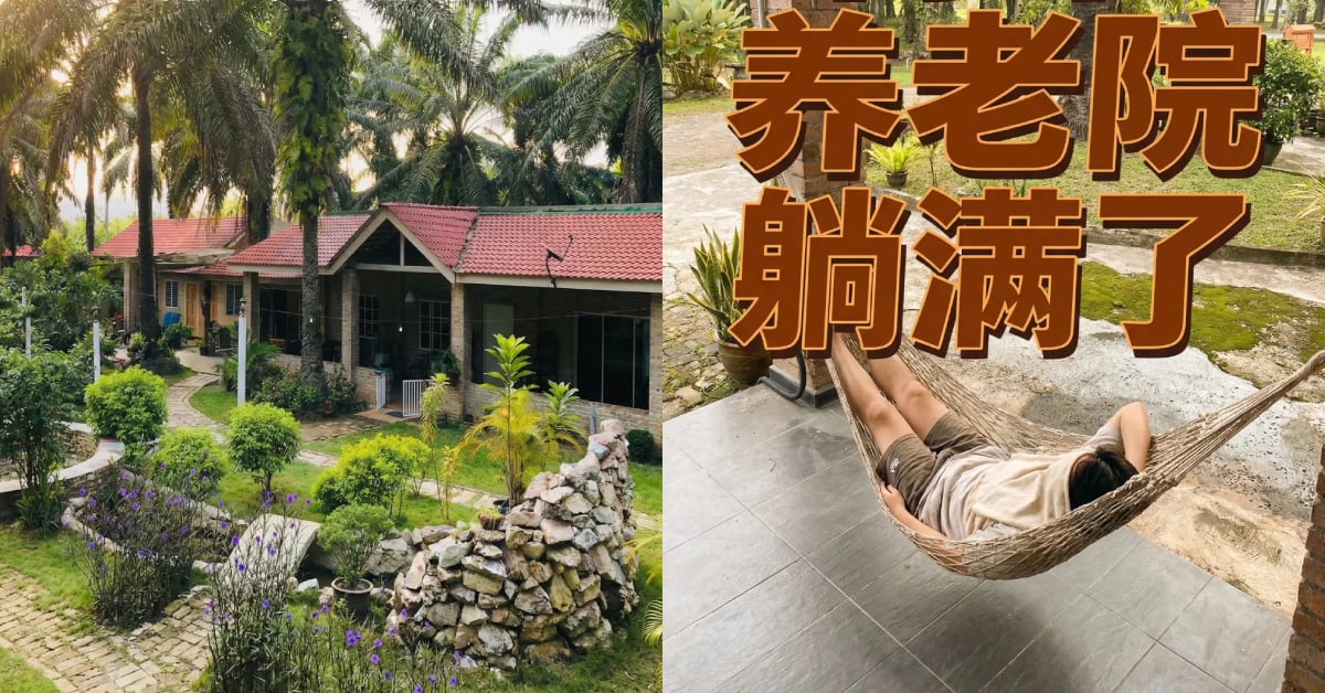 This ‘Youth Retirement Home’ In Gopeng Offers Escape For Stressed Out ...