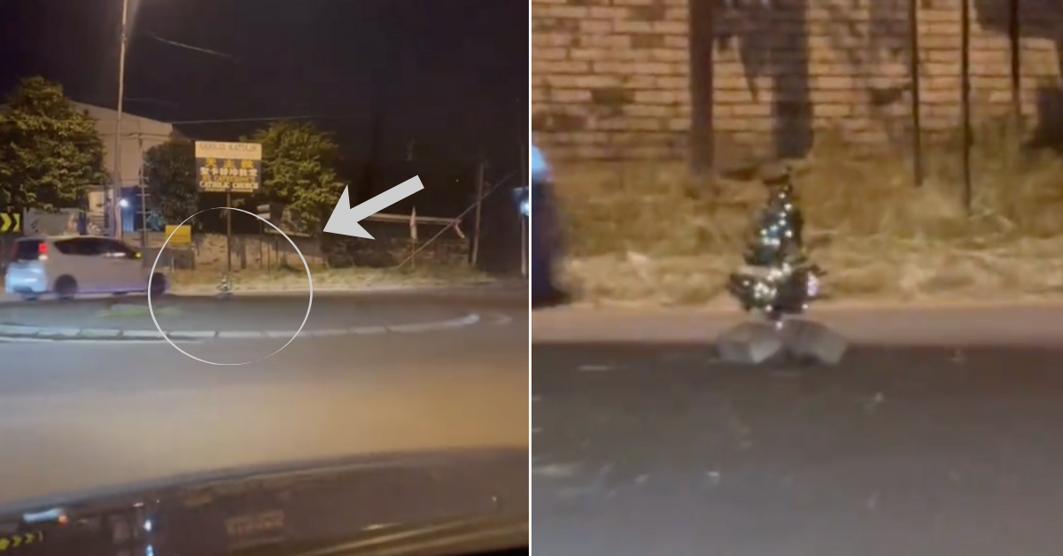 Sabah Drivers Stumble Upon ‘Smol’ Christmas Tree In The Middle Of ...