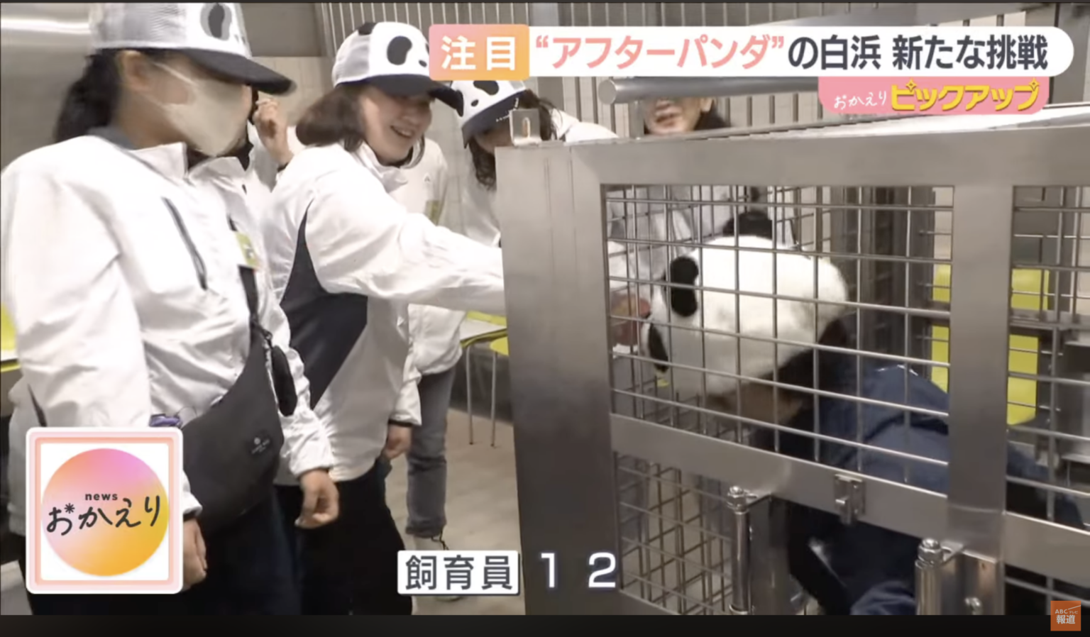 Japanese Zoo Staff Mimic Pandas After Bears Return To China