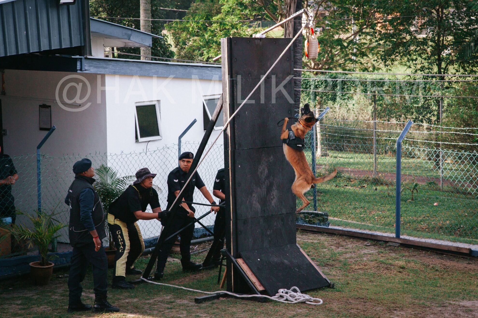 [PHOTOS] PDRM’s K9 Unit Puts On Impressive Demo For Deputy IGP