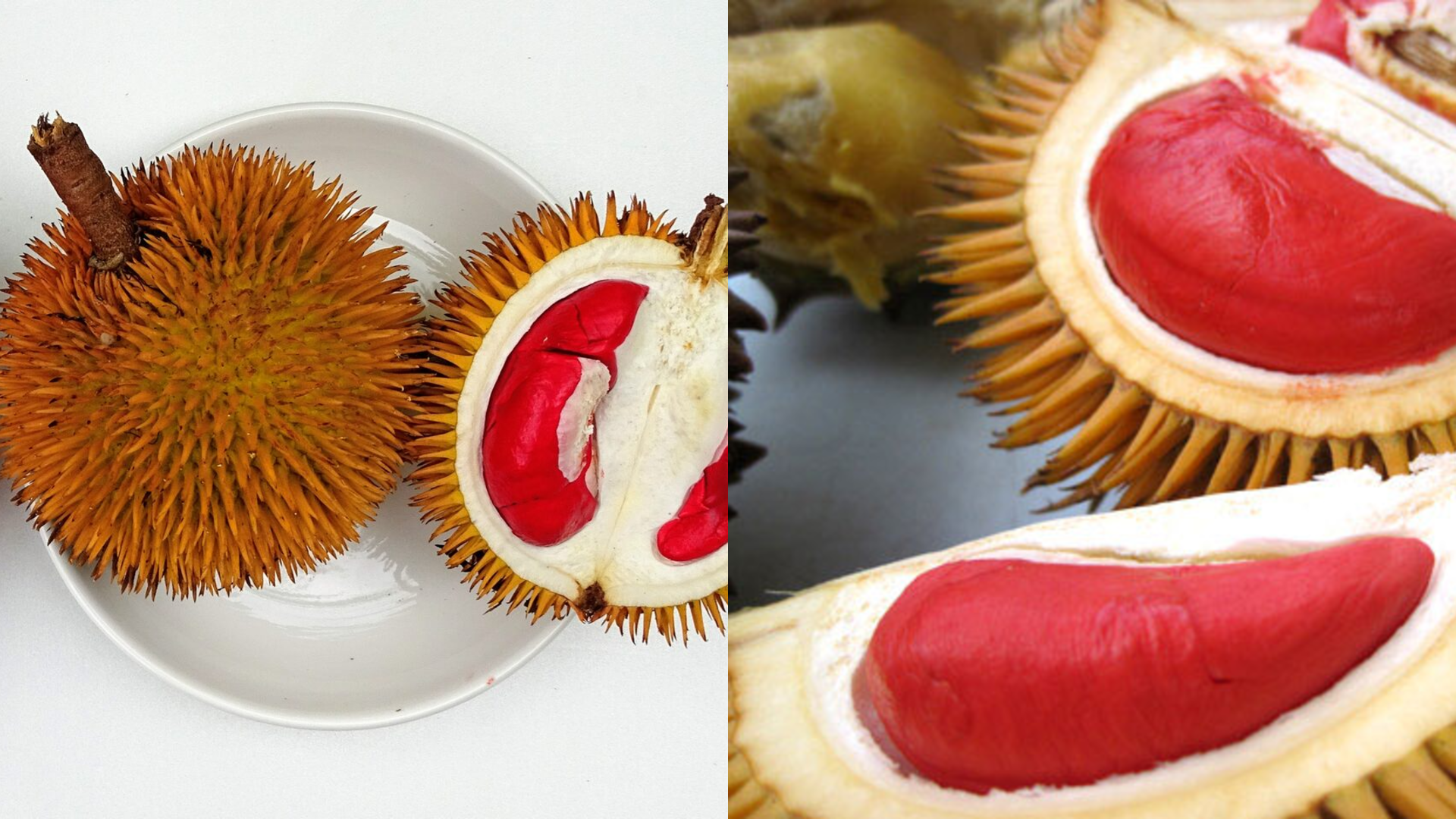 Durian Merah Sabah Boleh Jadi ‘Game Changer’ Industri Makanan ...