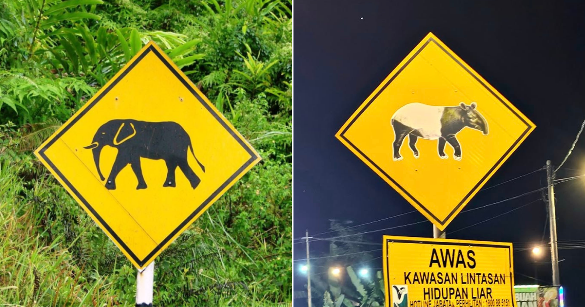 7 Animal Road Signs In Malaysia You Probably Didn’t Know Existed