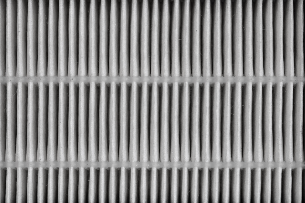 Dealing With Dust Allergies At Home? This Is Why A HEPA Filter Vacuum ...