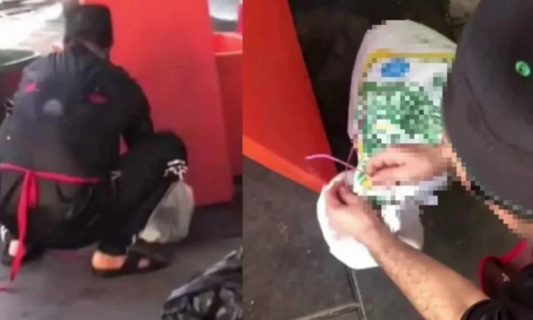 Police Investigate Viral Video Of Restaurant Worker Stuffing Cat Into Sack